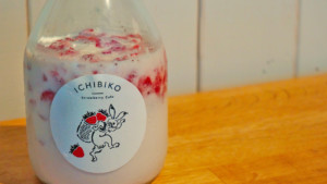 ICHIBIKO2 | 步步日本