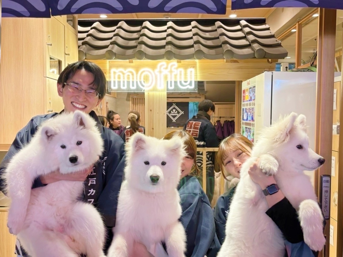 【東京動物咖啡廳】東京原宿竹下通新亮點！超萌「薩摩耶咖啡 moffu 竹下通店」與療癒狗狗一起拍照玩耍 | 步步日本